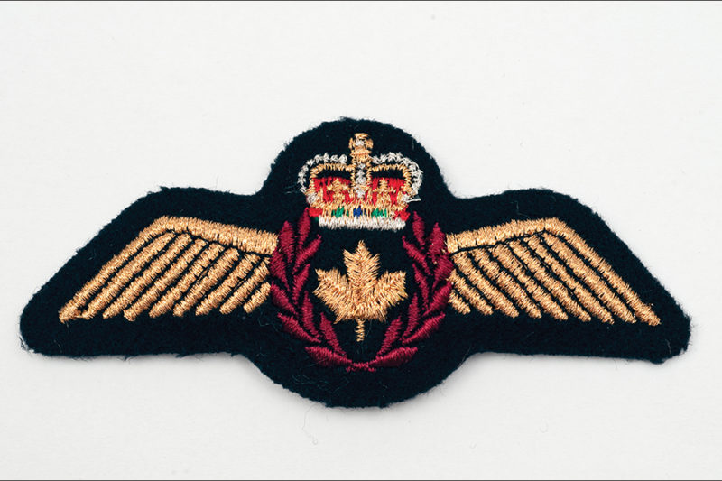 Pilot Training & Support | SkyAlyne